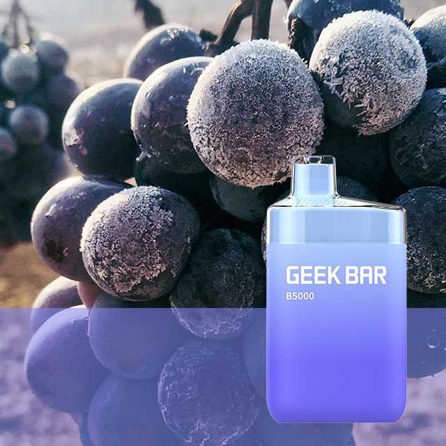 GEEK BAR GRAPE ICE 5000 PUFF | Provap Chile